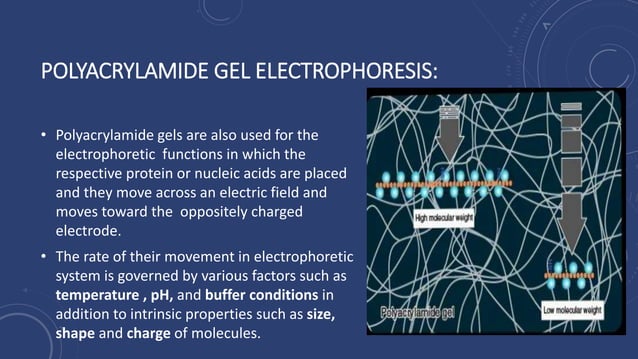 Polyacrylamide gel electrophoresis | PPTX