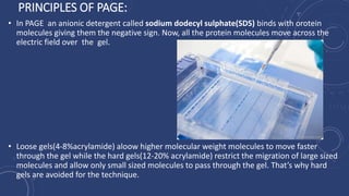 Polyacrylamide gel electrophoresis | PPTX