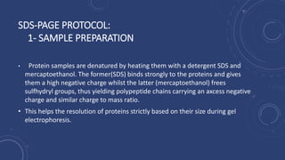 Polyacrylamide gel electrophoresis | PPTX