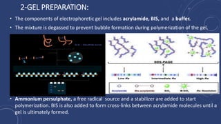 Polyacrylamide gel electrophoresis | PPTX