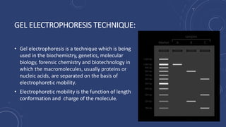 Polyacrylamide gel electrophoresis | PPTX