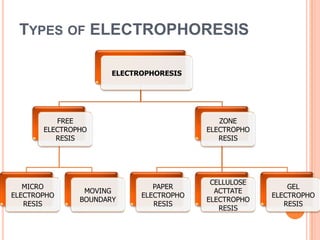 Poly acrylamide gel electrophoresis (page) | PPTX