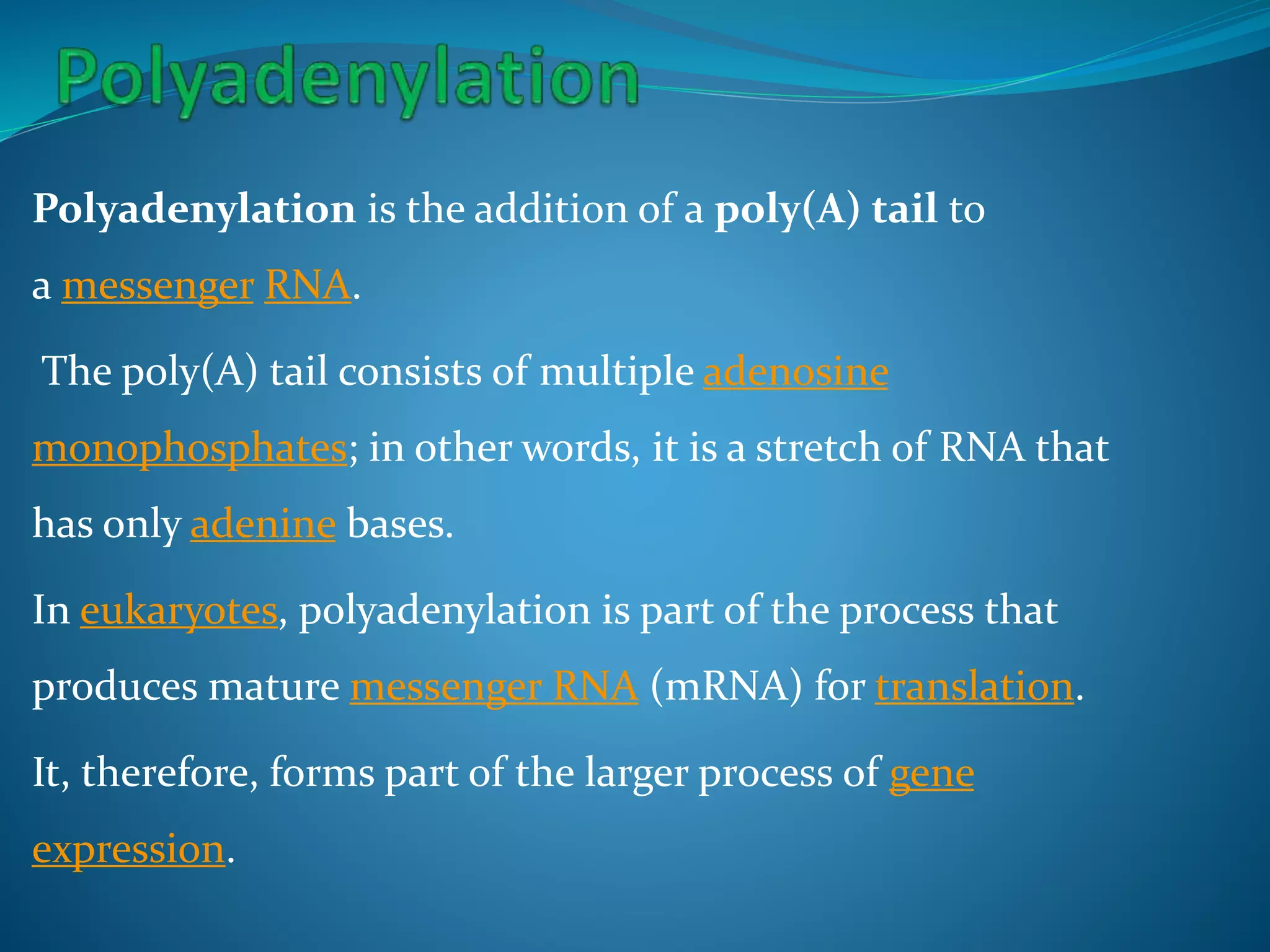 Polyadenylation | PPTX