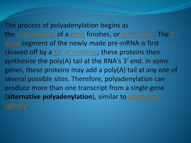 Polyadenylation | PPTX | Chemistry | Science