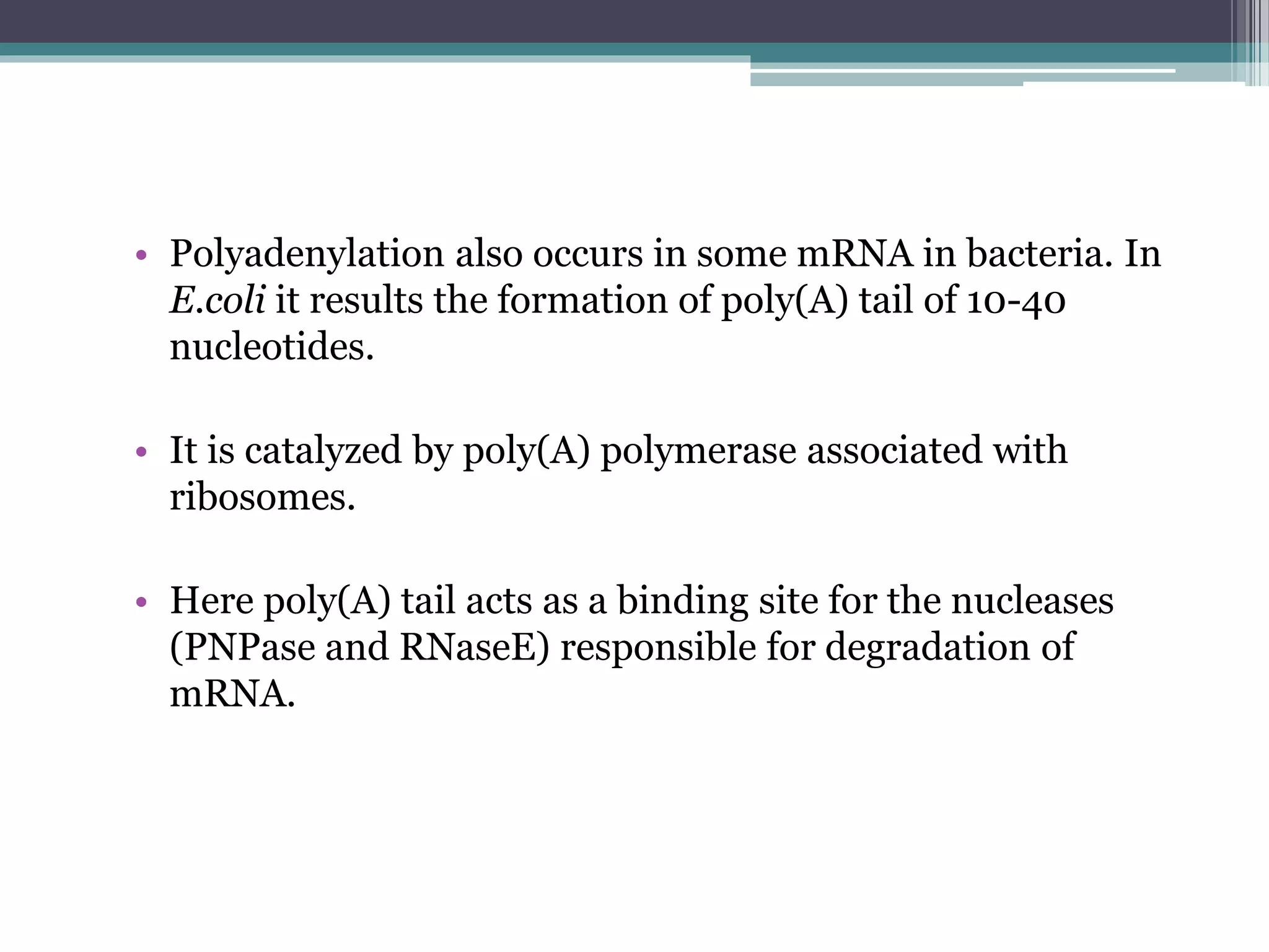 Polyadenylation | PPTX