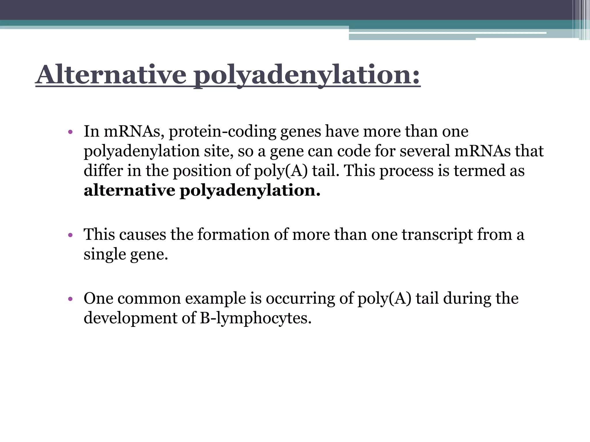 Polyadenylation | PPTX