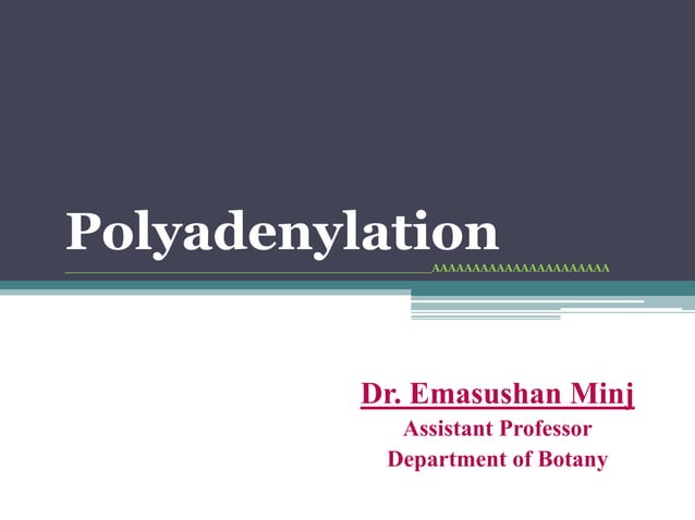 Polyadenylation | PPTX | Genetics | Science