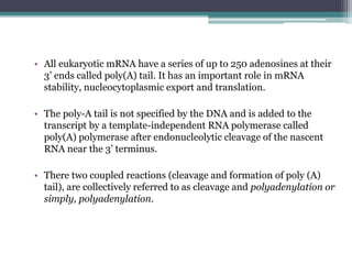 Polyadenylation | PPTX