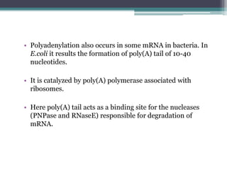 Polyadenylation | PPTX