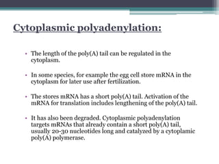 Polyadenylation | PPTX