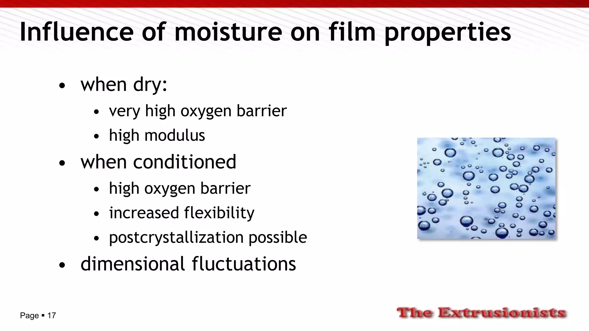 Polyamide extrusion | PPSX