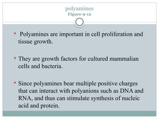 POLYAMINES & synthesis mechanismsm .pptx