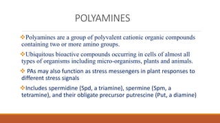 Polyamines in ameliorating stress | PPTX