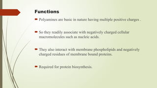 POLYAMINES synthesis, catabolism and functions | PPTX