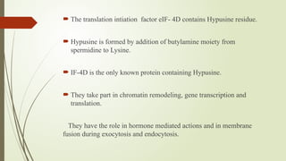 POLYAMINES synthesis, catabolism and functions | PPTX