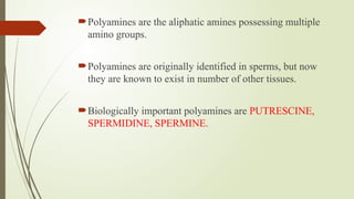 POLYAMINES synthesis, catabolism and functions | PPTX