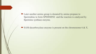 POLYAMINES synthesis, catabolism and functions | PPTX