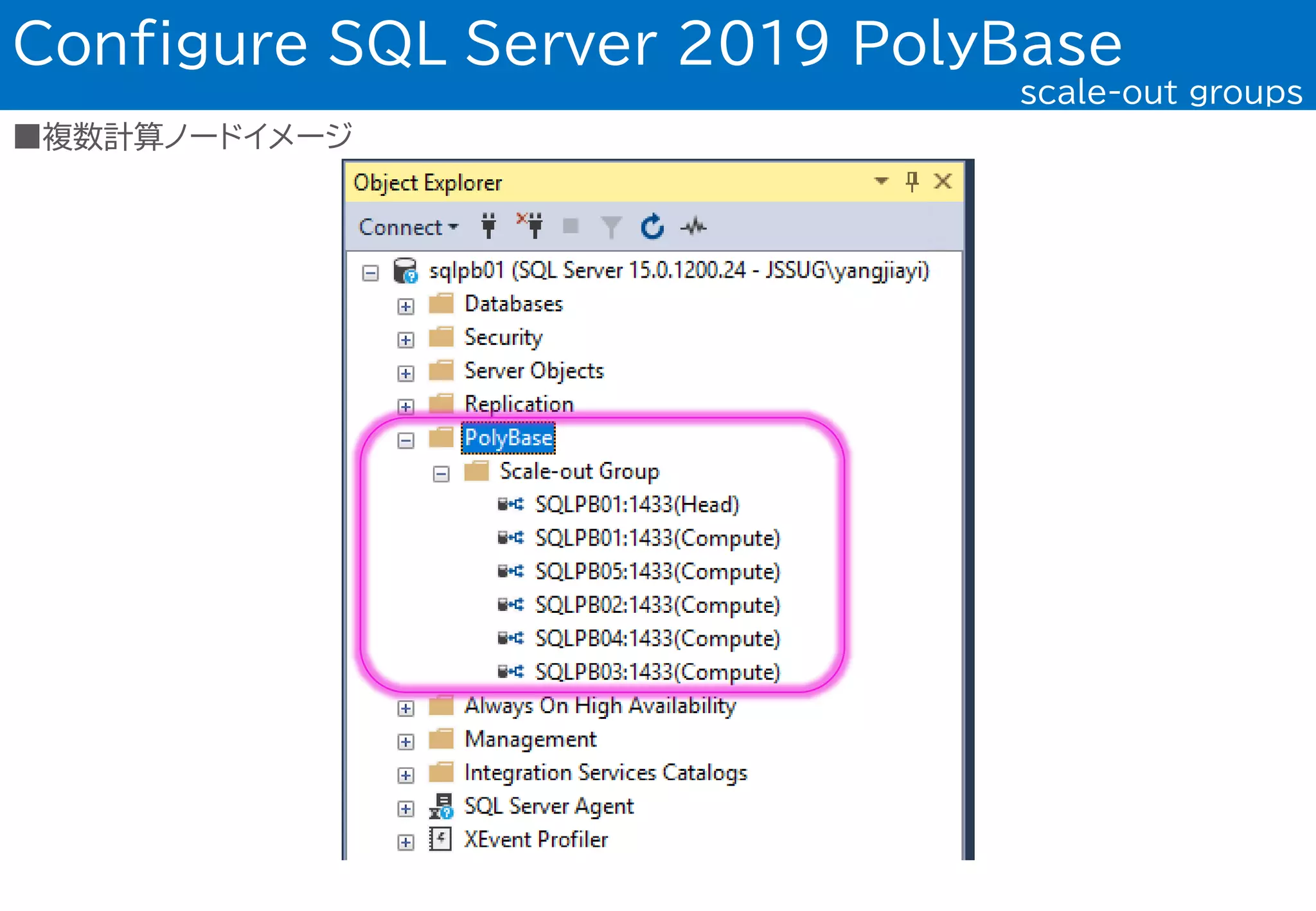 Polybase Scale Outgroups Ppt