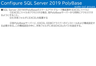 Polybase scale outgroups | PPT