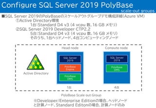 Polybase scale outgroups | PPT