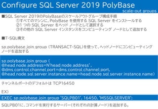 Polybase scale outgroups | PPT