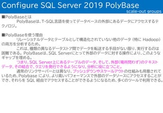 Polybase scale outgroups | PPT