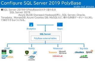 Polybase scale outgroups | PPT