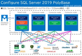 Polybase scale outgroups | PPT
