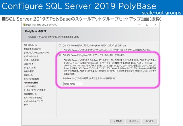Polybase scale outgroups | PPT