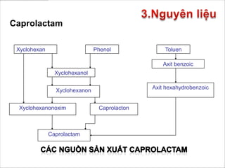 Polycaproamide | PPTX