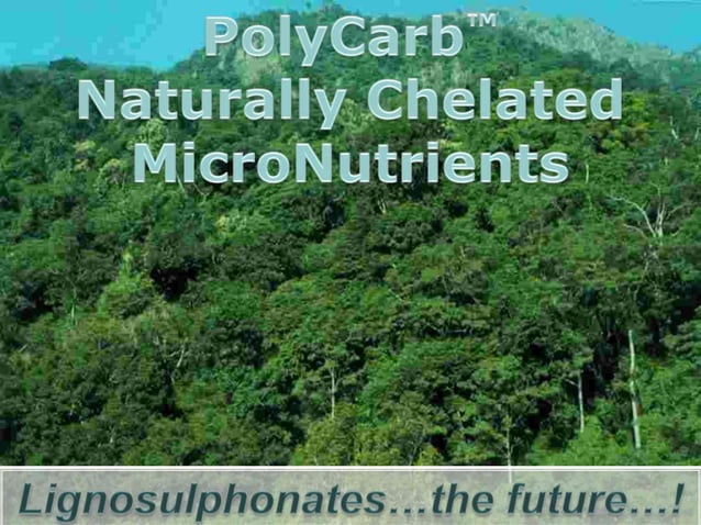Our Featured Product Polycarb Ppt