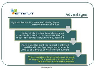 Our featured product - PolyCarb | PPT