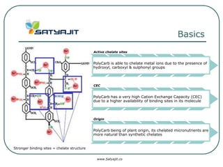 Our featured product - PolyCarb | PPT
