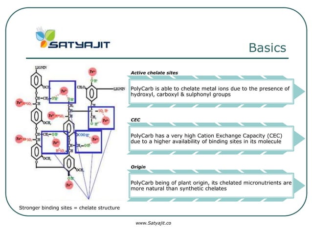 Our featured product - PolyCarb | PPT