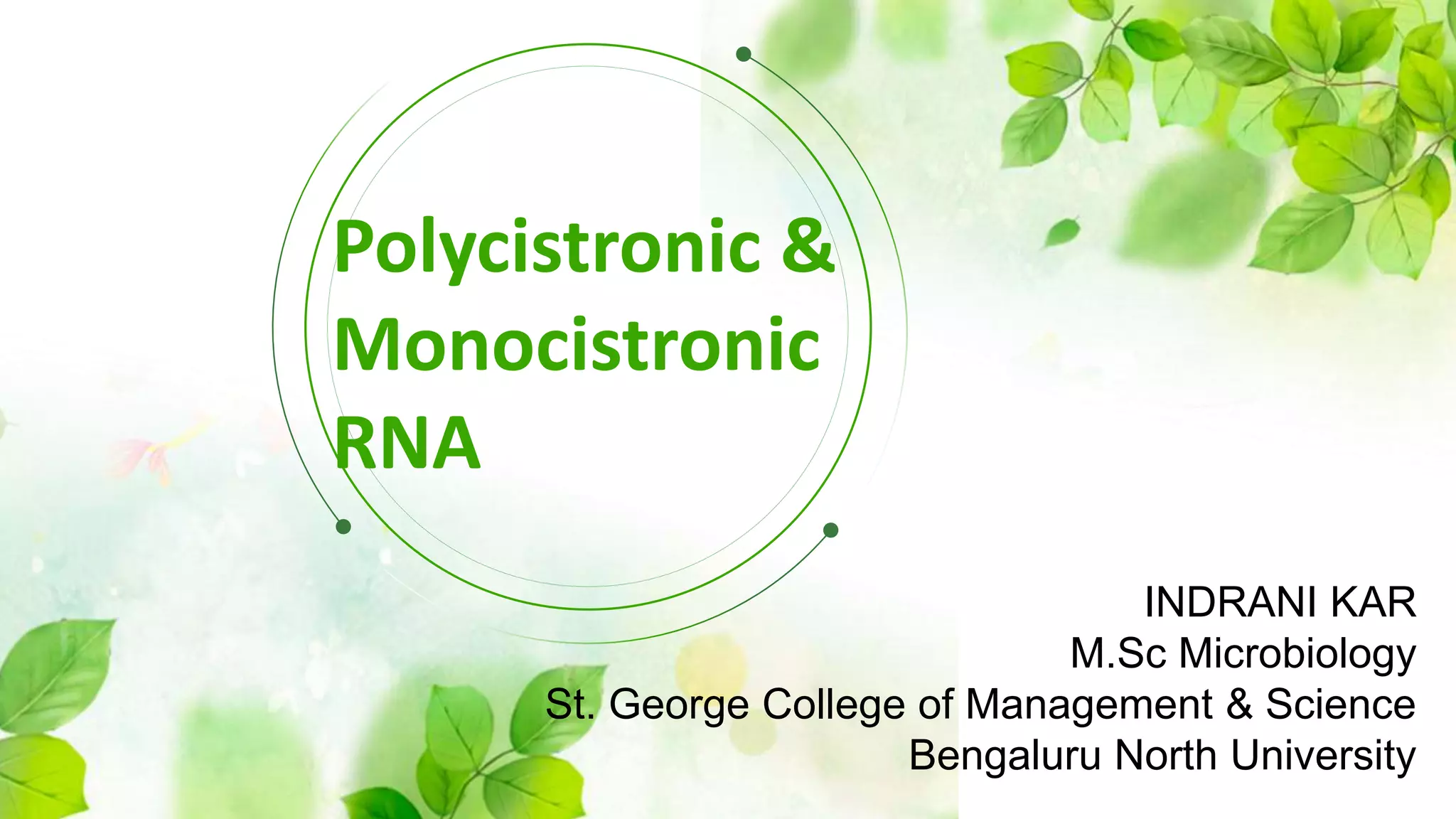 Polycistronic and monocistronic RNA | PPTX