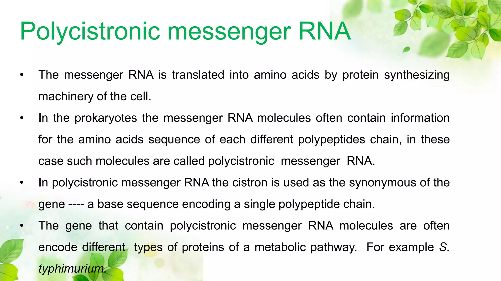 Polycistronic and monocistronic RNA | PPTX