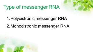 Polycistronic and monocistronic RNA | PPTX