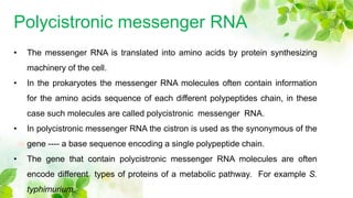 Polycistronic and monocistronic RNA | PPTX