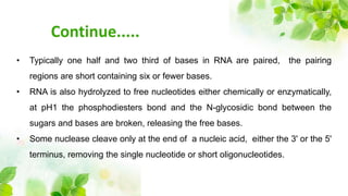 Polycistronic and monocistronic RNA | PPTX