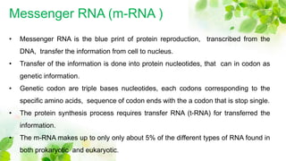 polycistronicandmonocistronic-200503163402 (1).pdf