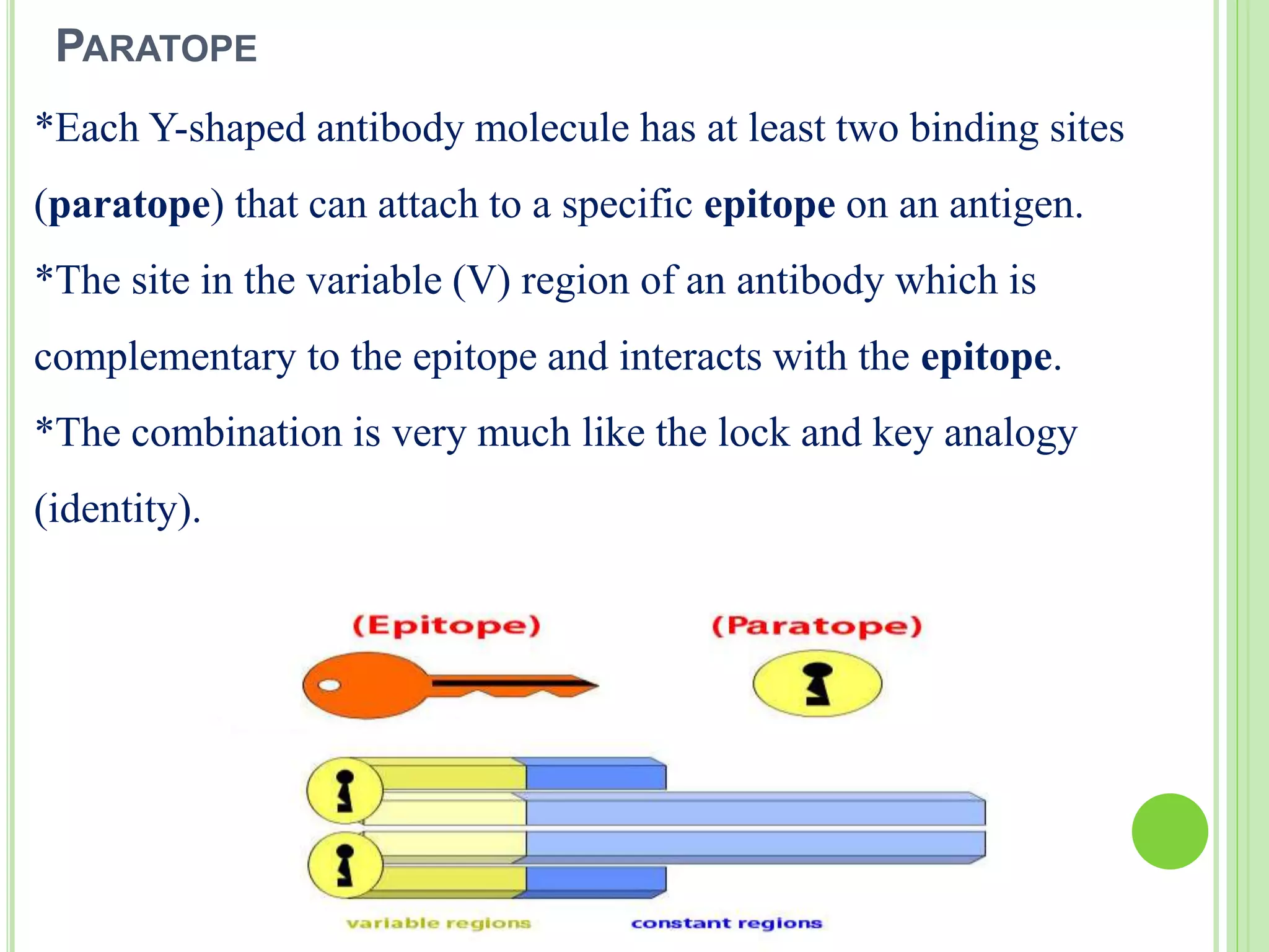 Polyclonal and monoclonal antibody production | PPT