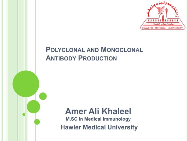 Polyclonal and monoclonal antibody production | PPT | Blood Disorders ...