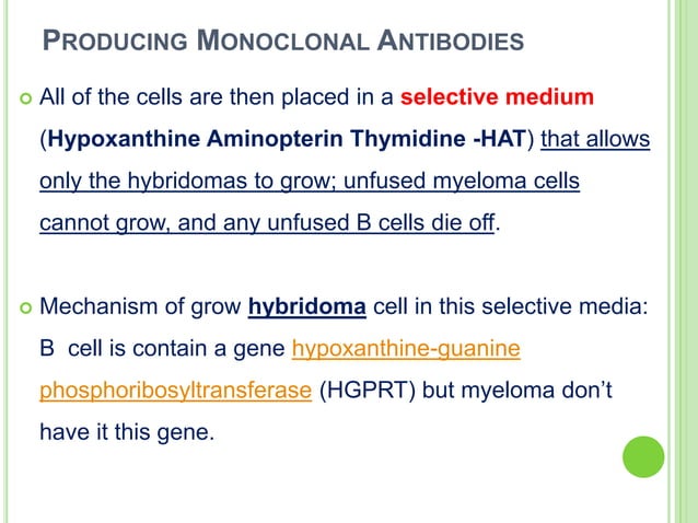 Polyclonal and monoclonal antibody production | PPT | Blood Disorders ...