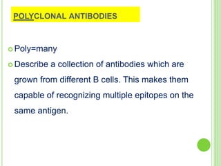 Polyclonal Vs Monoclonal Antibody