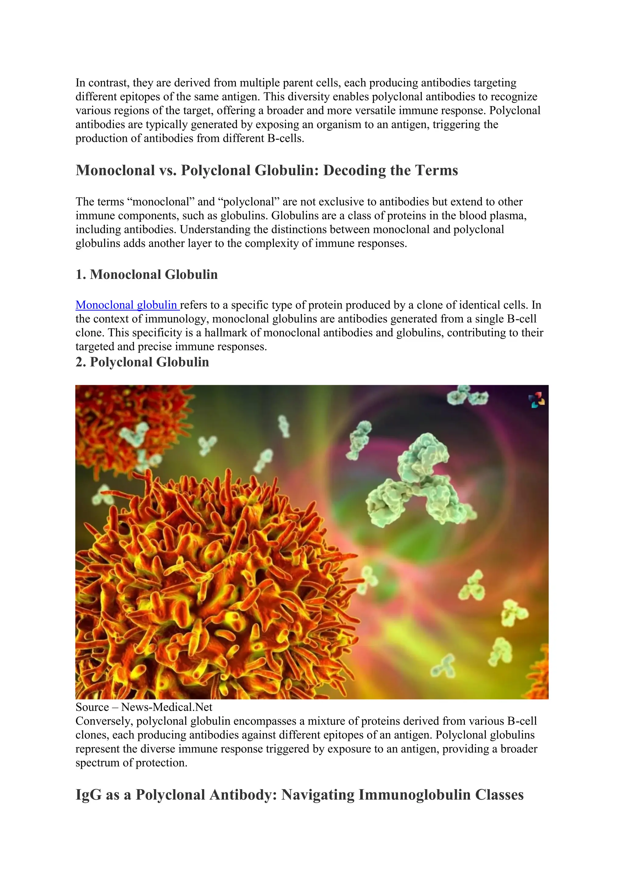 Monoclonal vs. Polyclonal Antibodies: Detail Exploration | The ...