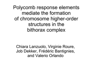 Polycomb Response Elements | PPT