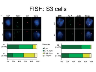 Polycomb Response Elements | PPT