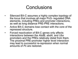 Polycomb Response Elements | PPT