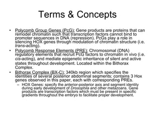 Polycomb Response Elements | PPT
