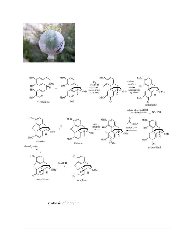 Polycyclic aromatic hydrocarbon | PDF | Chemistry | Science